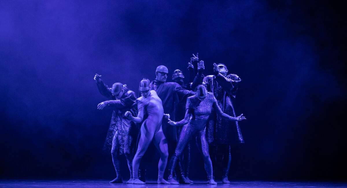 Creative Learning Suite - Australasian Dance Collective